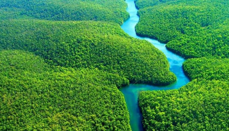 Turismo na Amazônia: 5 Pontos Turísticos Para Você Conhecer - 93 FM